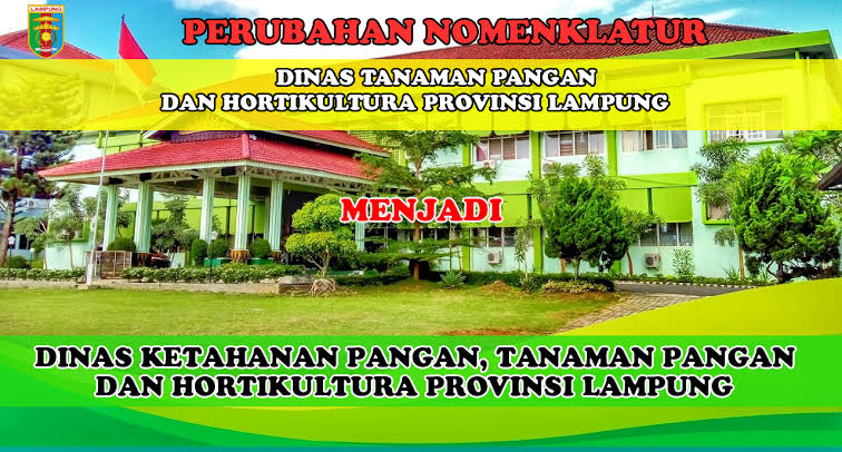Lapor Pak Gub, Proyek Dinas Ketahanan Pangan dan Holtikultura Lampung ...